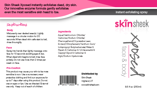 Skin Sheek Xposed Instant Exfoliating Spray